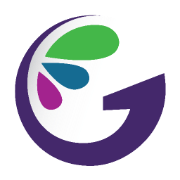 Gigamesh Web Connect